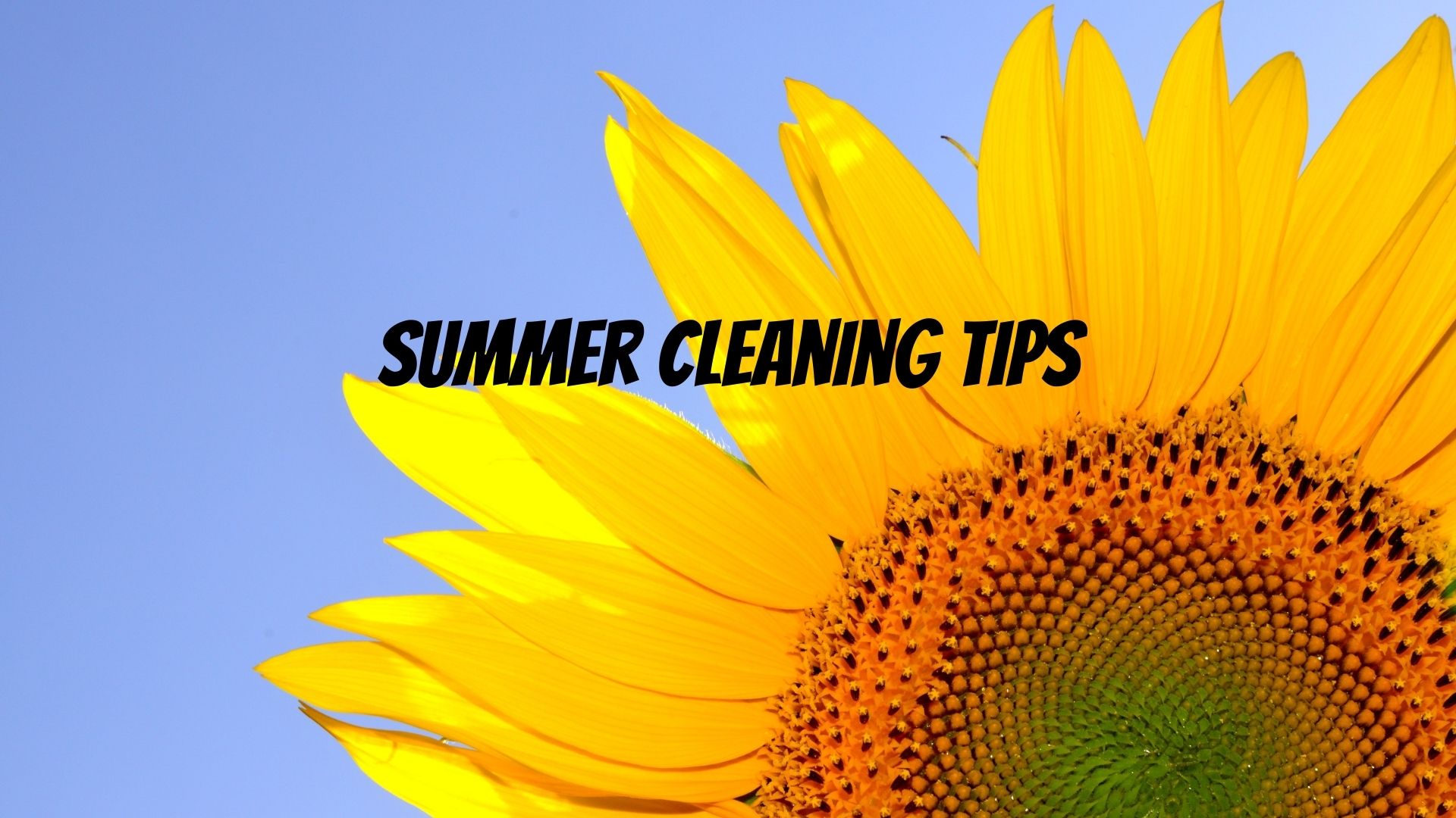 Summer Cleaning Tips For Your Home | Window Cleaning Sydney